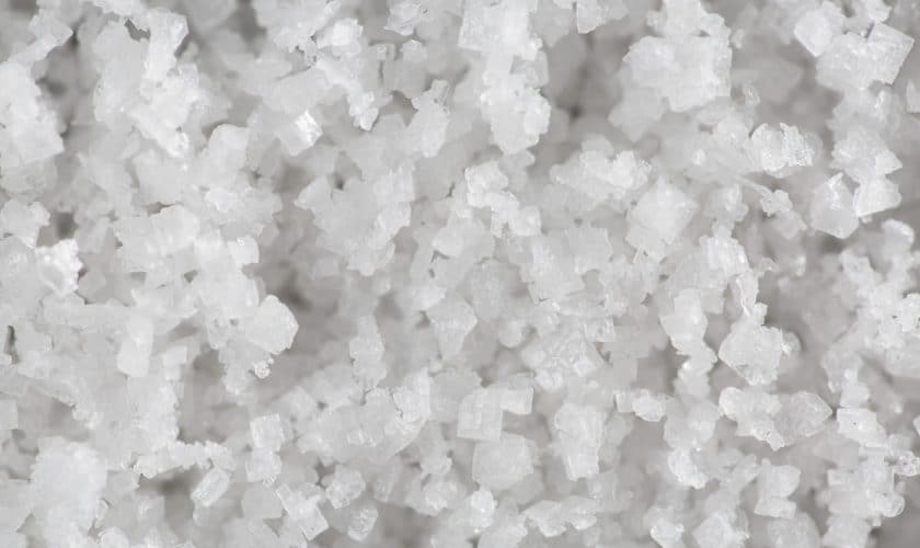 Does Salt Kill Ants? What Really Happens When Salt Touches Ants