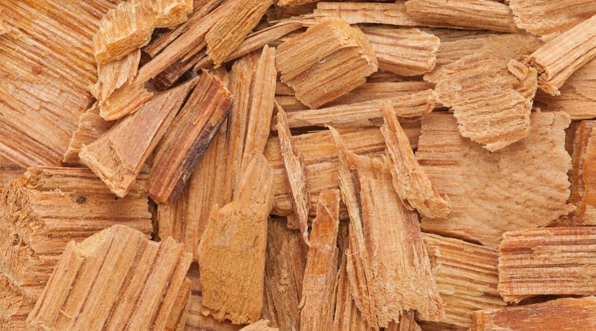 Do Hornets Like Cedar? How Cedar Wood Really Affects These Bugs
