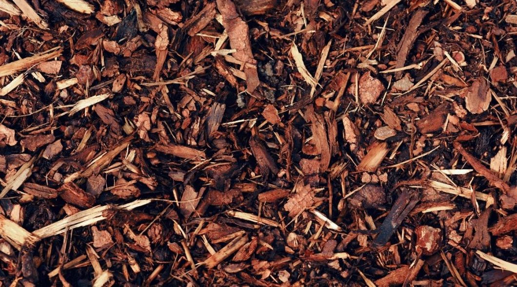 What Attracts Cockroaches? 10 Things That Attract Them To Your Home